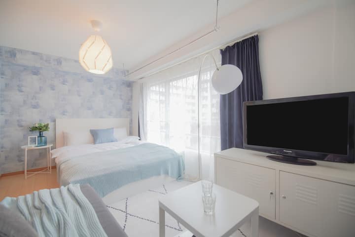 501jr山手线莺谷站3分钟,紧邻上野浅草寺,直达新宿池袋等热门商圈,电梯温馨新装公寓,中文房东! - Ueno