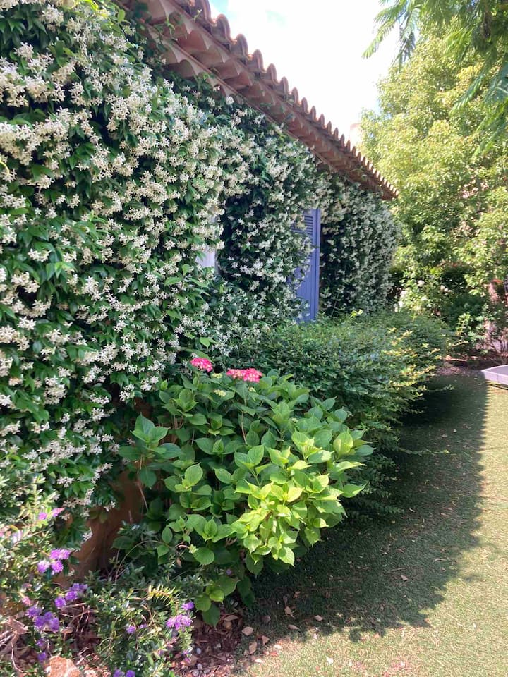 Charmant Studio Appartement . - La Garde