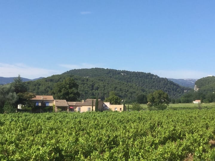 Relaxation In Wine Country - Malaucène