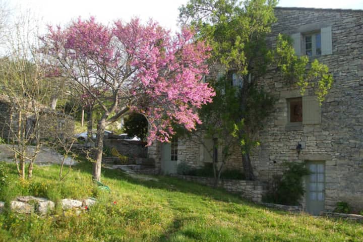 Chambre Provençale - Luberon - Apt