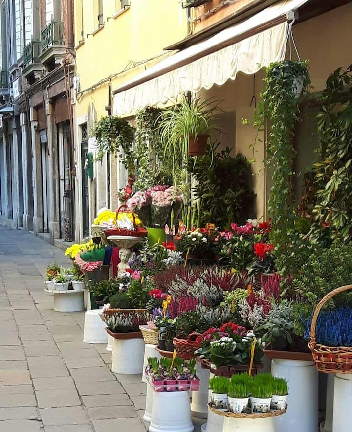 Verynice  Tra Campielli E Canali Di Venezia - Venice