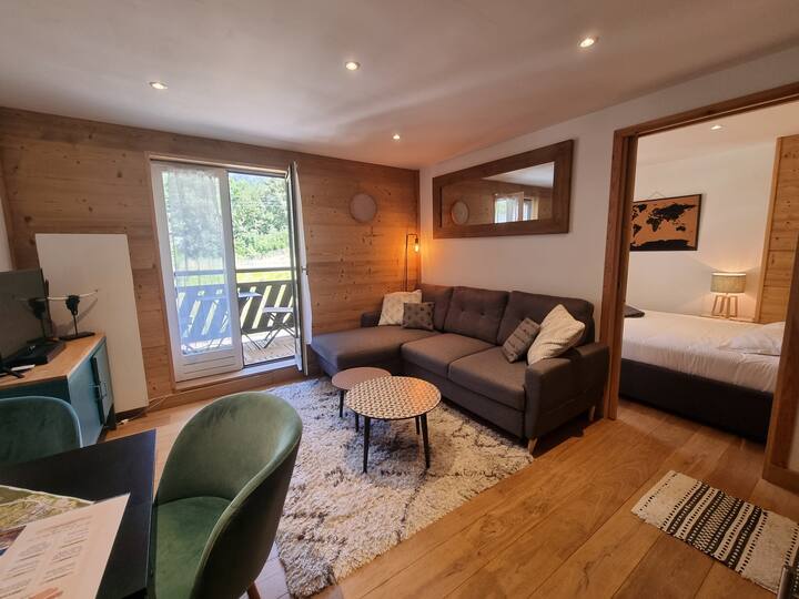 Charmant Appartement 2/4 Personnes Centre Ville - Argentière