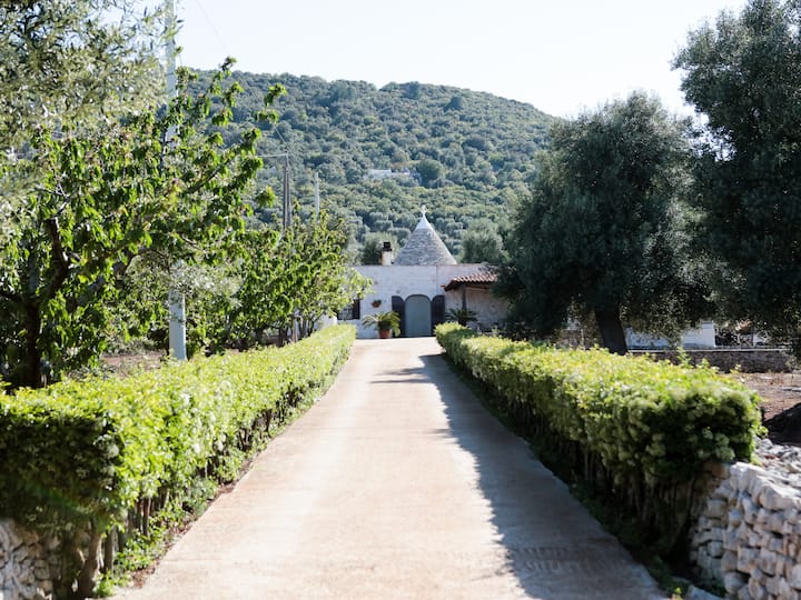 La Collina Degli Ulivi
Appartamento De Luxe - Fasano