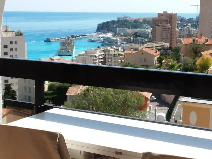 Amazing View - Monaco