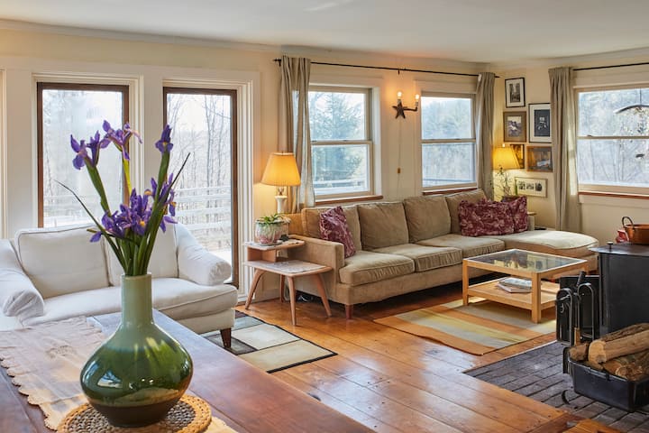 Berkshire Wonderland Family Home 7 Acr Near Lake - The Berkshires, MA
