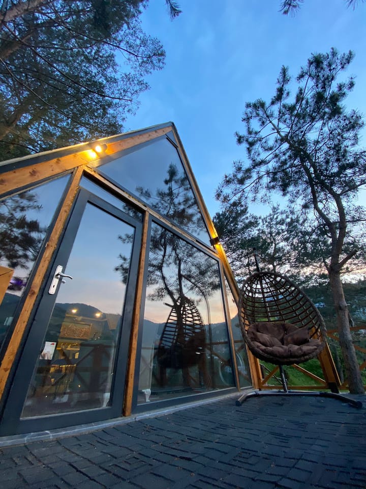 Forest Suite Bungalov - Trabzon