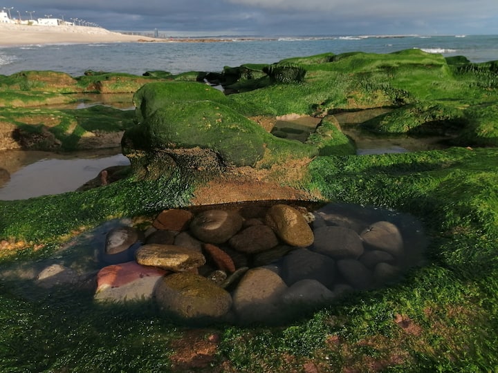 Cantinho Do Mar - Figueira da Foz