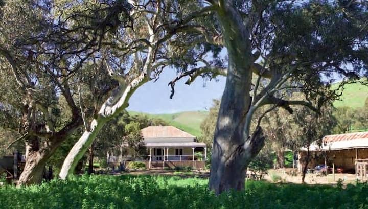 Brooklyn Farm - Country Experience By The Sea - 南オーストラリア州
