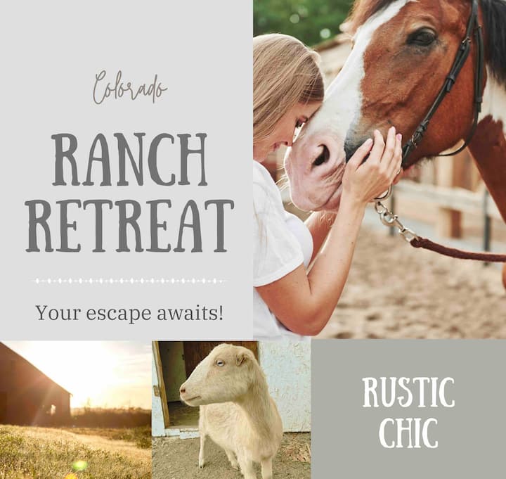 Amazing Farm Stay In Aurora Goats, Donkeys, Horses - Aurora