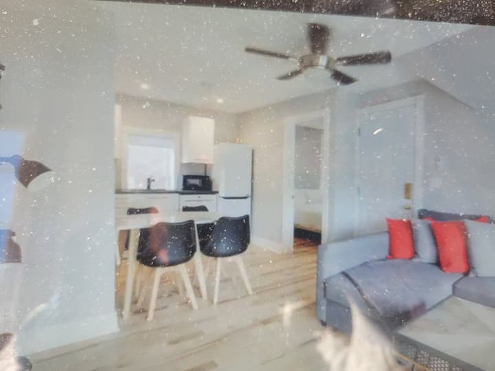 New Top Flr Bright 2rms, By Uoft+deck+parking+w+d - Toronto