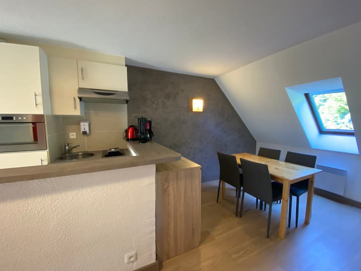 Appartement 3 Personnes – 2 Chambre (Duplex) M303 - Chambon-sur-Lac