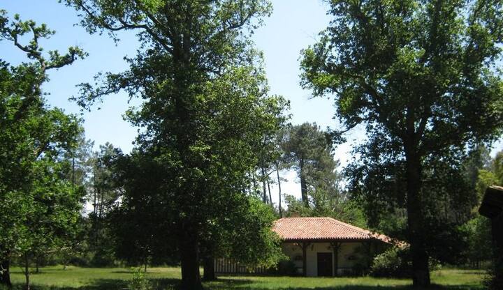 Maison Landaise Au Coeur De La Forêt - Vielle-Saint-Girons
