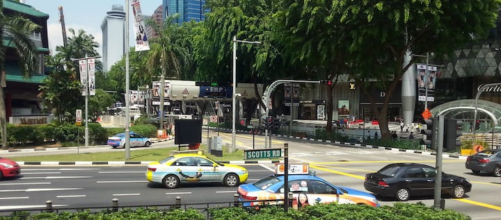 Palatial 3-br Space @ Scott's Rd. - Singapore