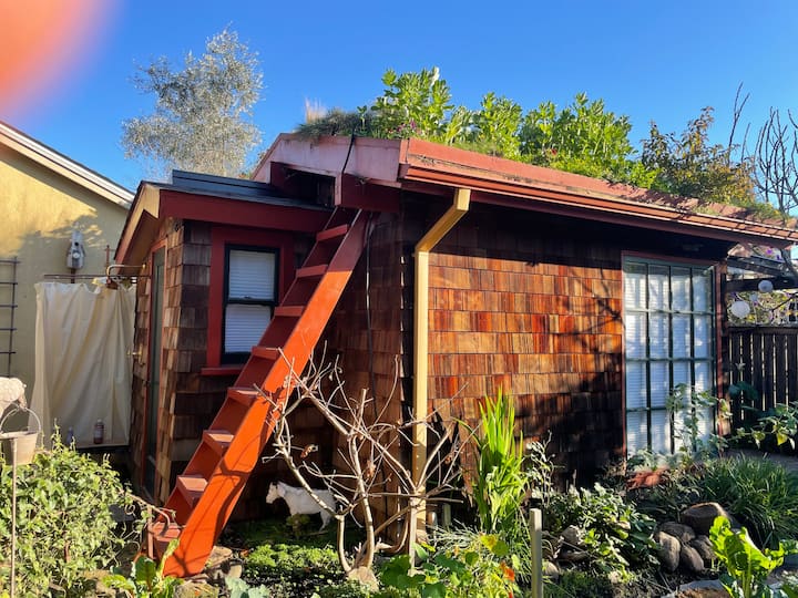 Tiny House With Green Roof In Berkeley Backyard. - Berkeley, CA