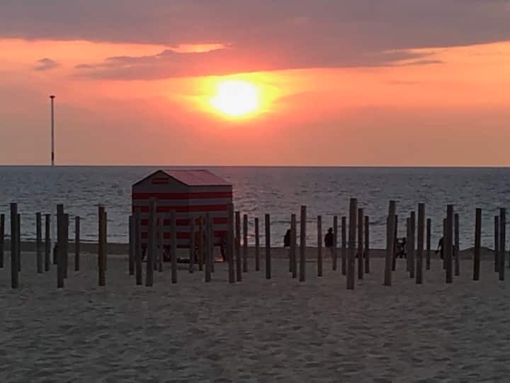 Mooie Studio Op De Zeedijk Met Prachtig Uitzicht! - De Panne