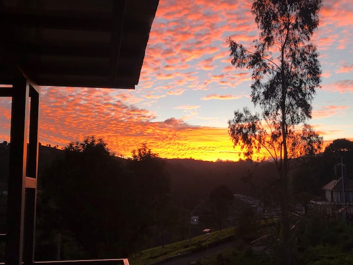 Moonlight Chillers -5 Bedroom Villa - Kotagiri