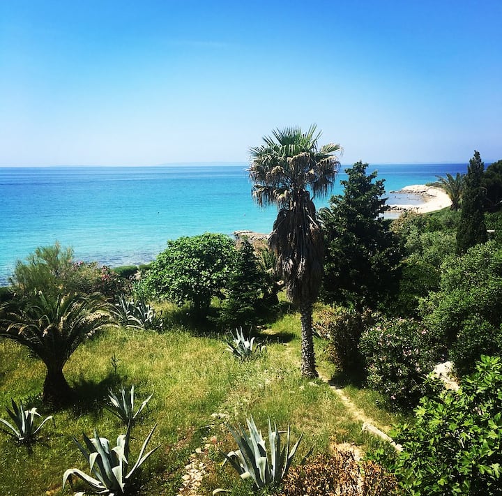 Beachfront Apartment With Large Sunny Terrace - Novaglia