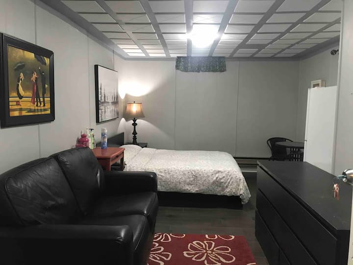 Cheerful 1 Bedroom Basement Studio - Pickering