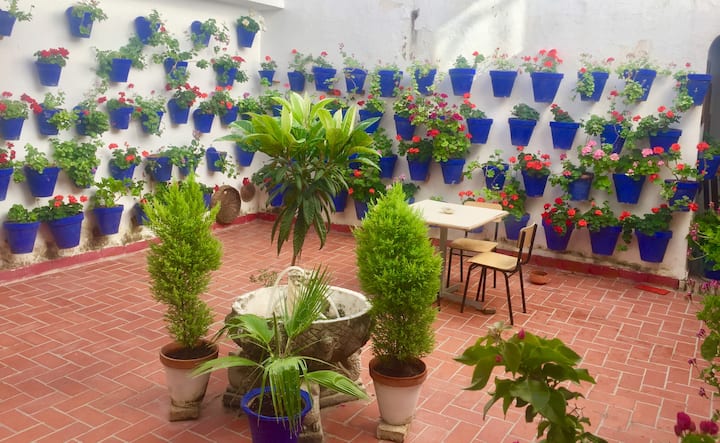 Apartamento Toril. Casco Histórico / Free Wifi. - Córdoba