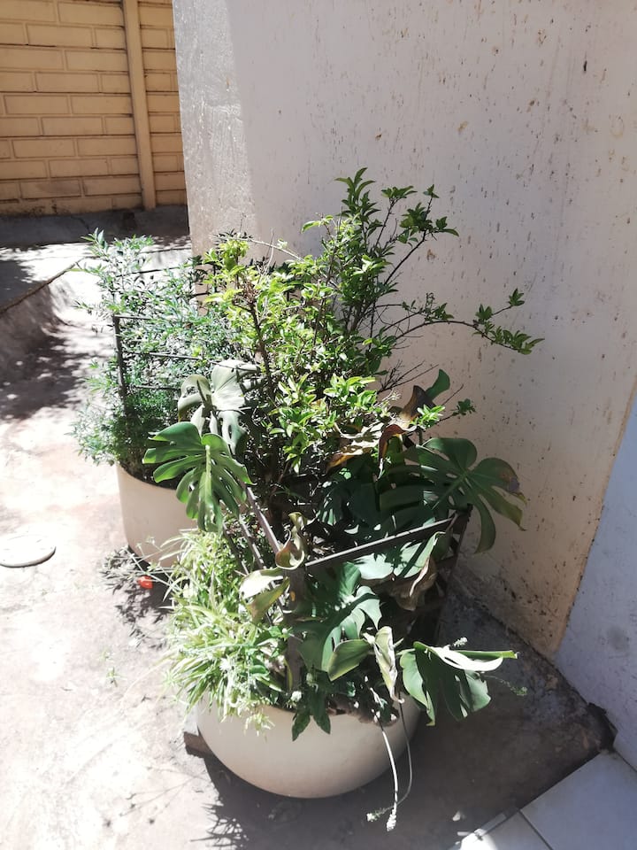 Star Accomodation - Soweto