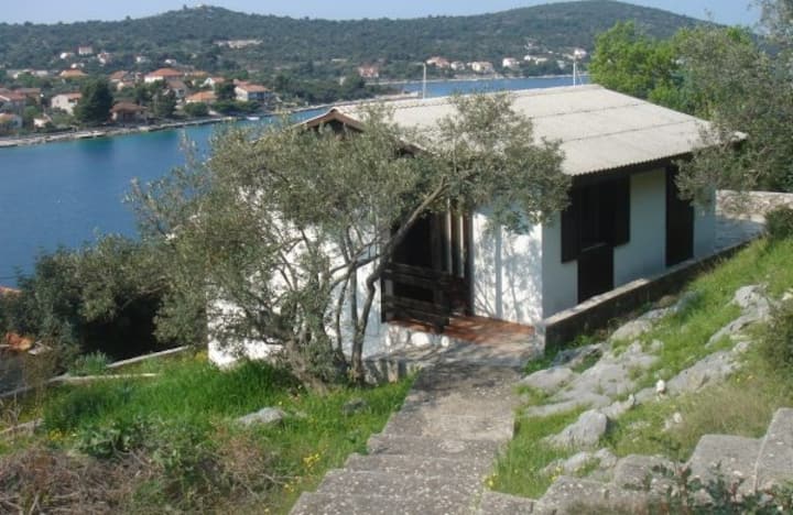 House Duje - Maslinica