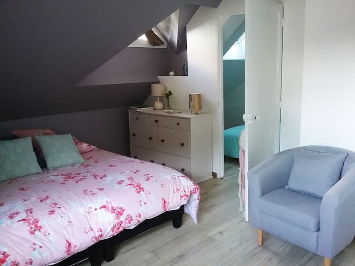 Au Nid Douillet ~ Chambre Coquille (Familiale) - Saint-Aignan-sur-Cher