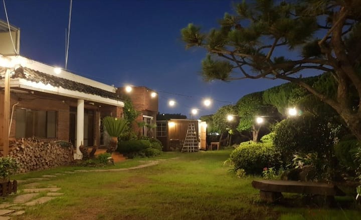 민들레꽃 제주 - Jeju-si