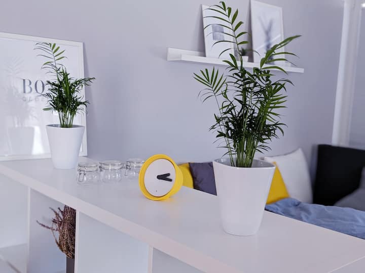 Gemütliches Tiny House Apartment - Baden-Baden