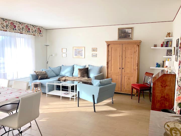 Violettes, Crans-montana Face Aux Télécabines - Crans-Montana