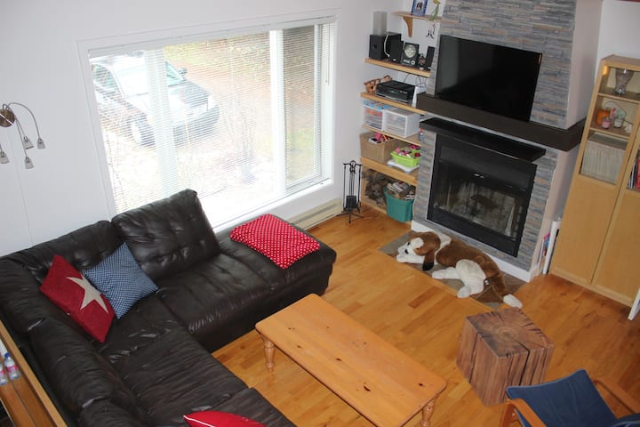 Chalet à Louer Mont Sainte-anne - Quebec