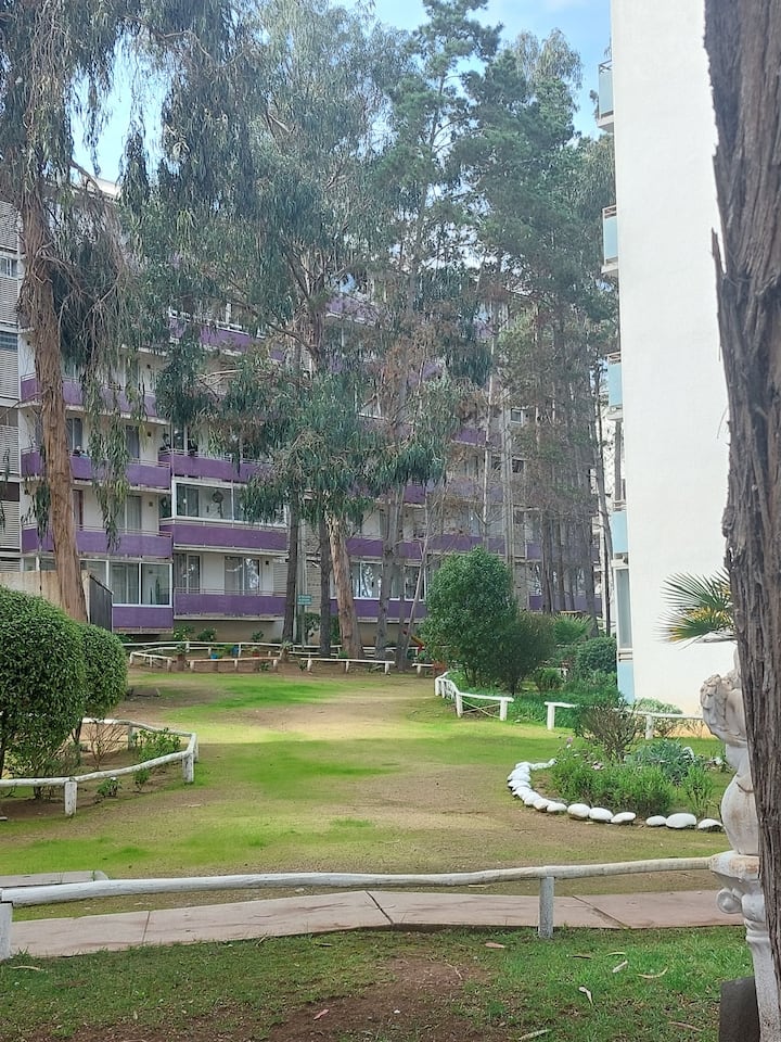 Lindo Departamento Bosque Y Mar. - El Tabo