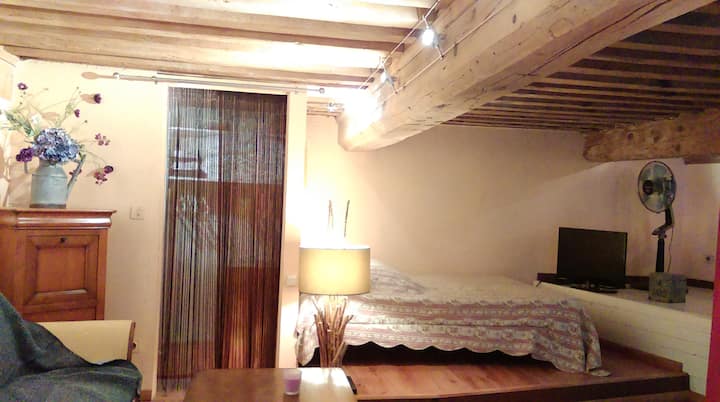 Véritable Canut Coquet 1er. Logement Complet 55m2 - Lyon