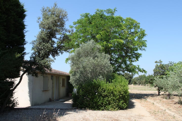 Mas Des Myrtes - Les Baux-de-Provence