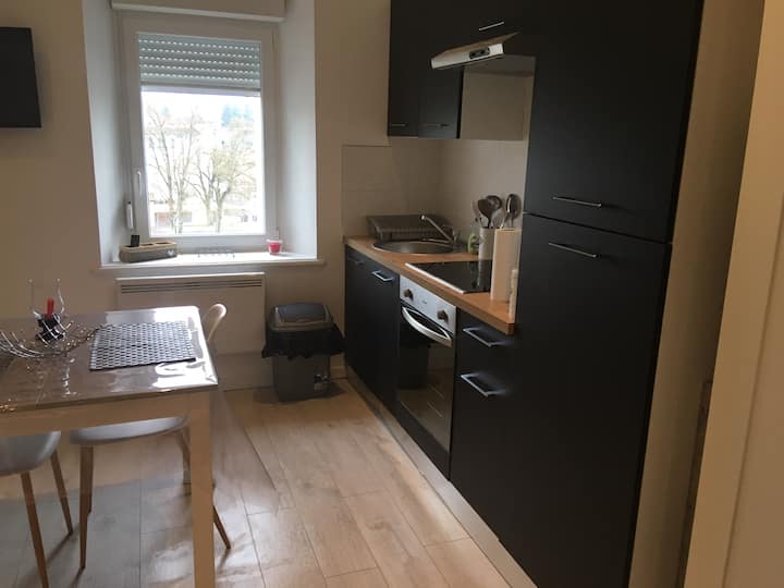 Studio Face Aux Thermes De Vittel - Vittel