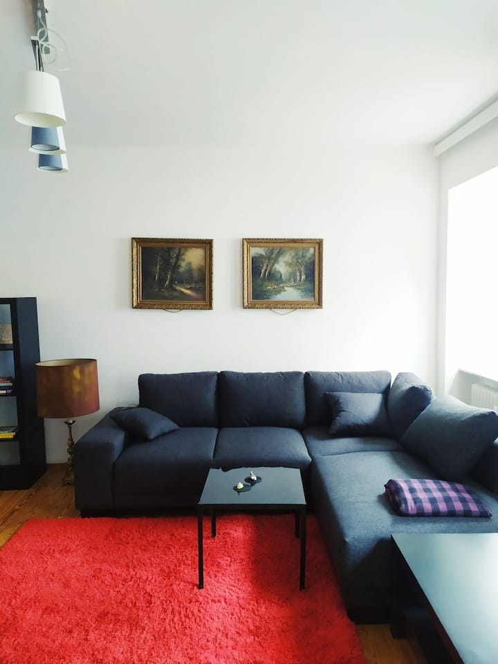 Historical Apartment Kapellenweg - Heidelberg