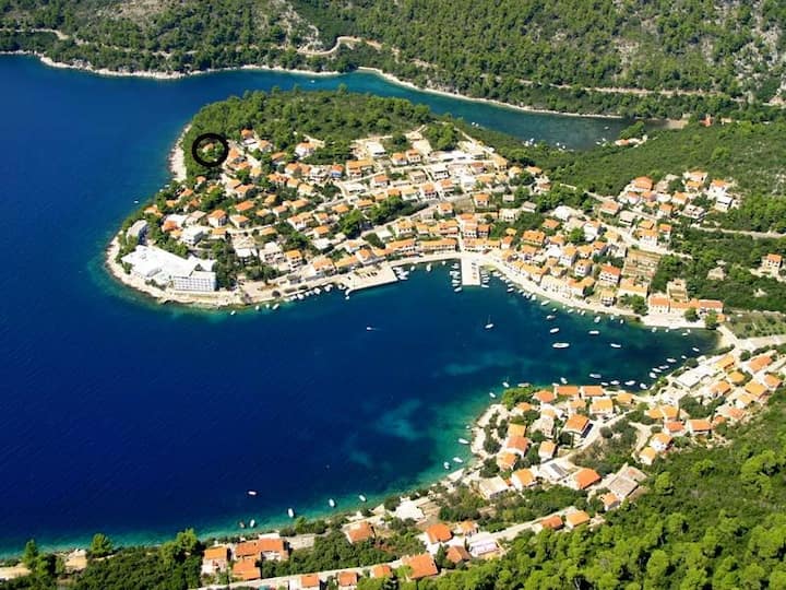 Apartment Tomasic - Ancila - Smokvica