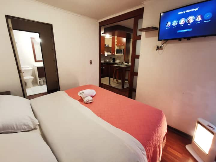 Hermoso Depto Bellas Artes - Santiago