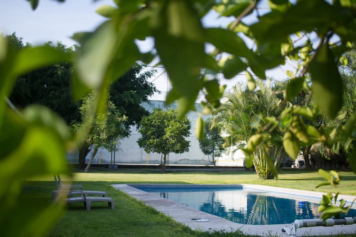 Las Palmas - Xochitepec