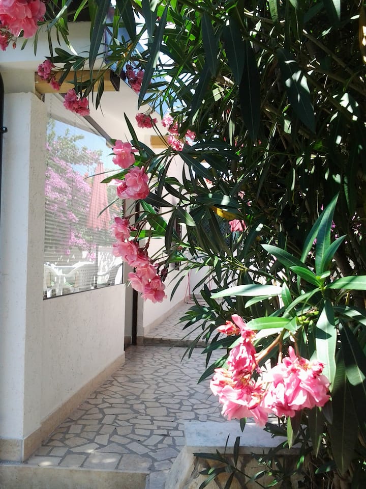 Cozy Little House With Spacious Terrace - Premantura