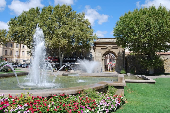 Rare Pearl: Apartment With Terrace, Carca Centre - Carcassonne