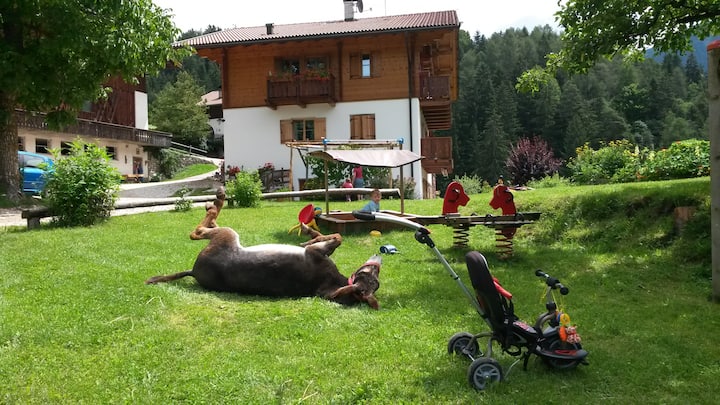 Platschgolerhof-appartment Bergluft-dolomiten - Tiers