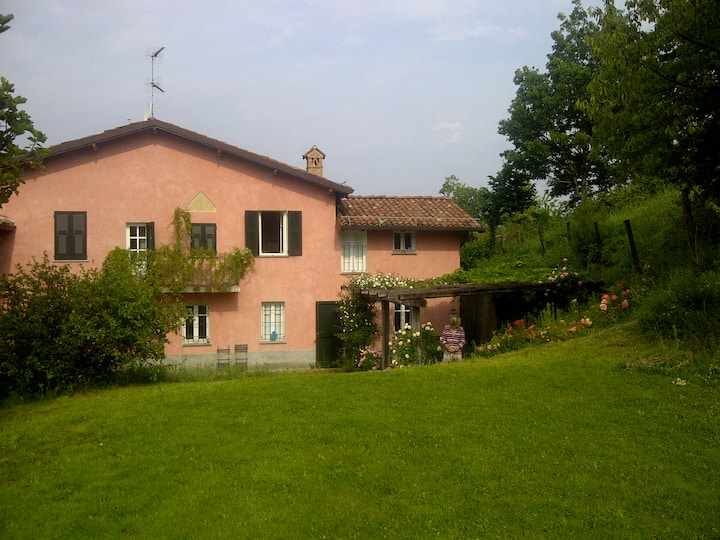 Ancient Villa With Pool In Wineyard - Italia