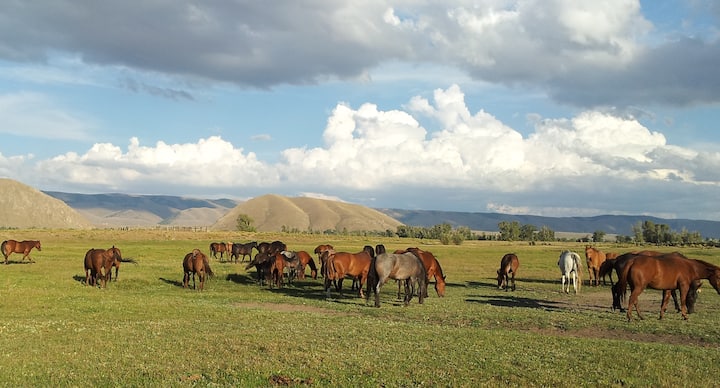 Top 10 Ranches To Stay In Wyoming, USA - Updated 2024 | Trip101