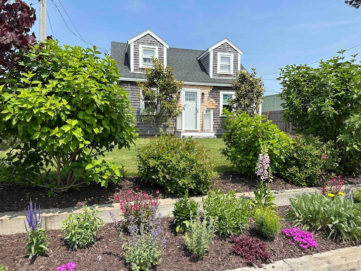 Entire In-town Cottage, Walk To Ferry/town/shops - Edgartown, MA