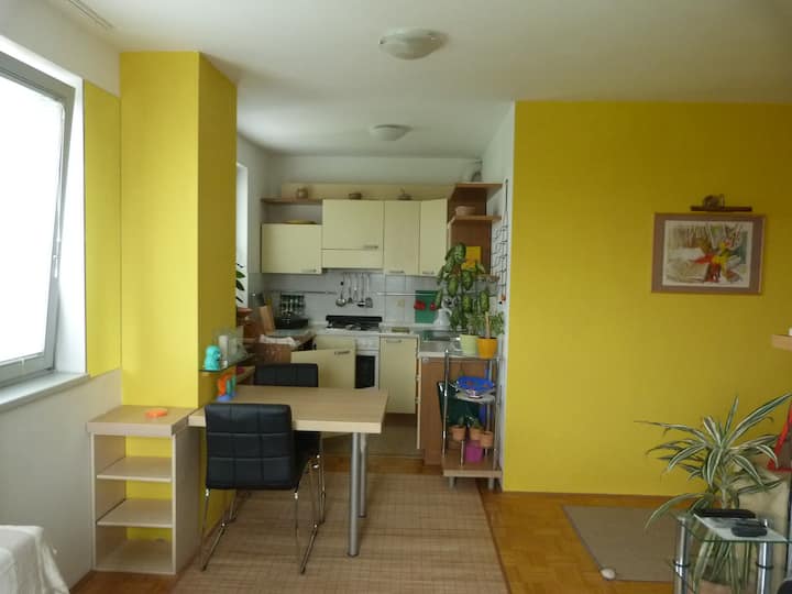 Excellently Located Apartment - Liubliana