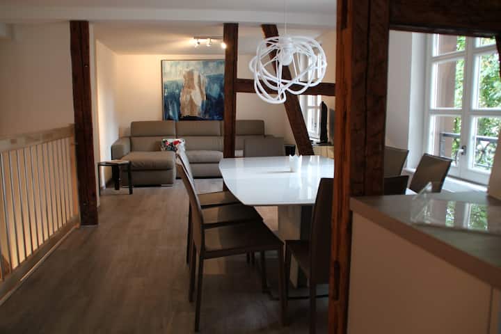 4 Pièces Duplex Au Bord De L'ill - Strasbourg