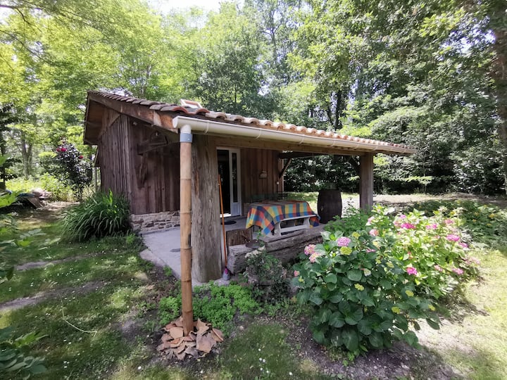 Gite En Bois, Chaleureux, Au Cœur De La Foret - Belin-Béliet