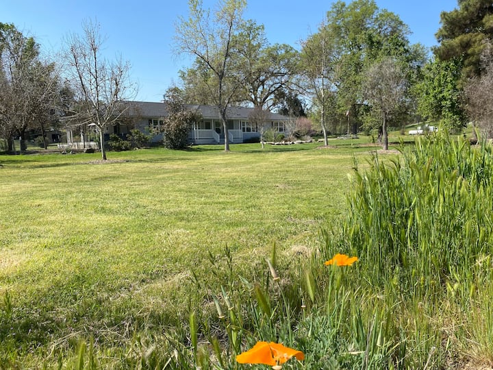 Little Tombstone Ranch - Kings Canyon / Sequoia - Kings Canyon National Park