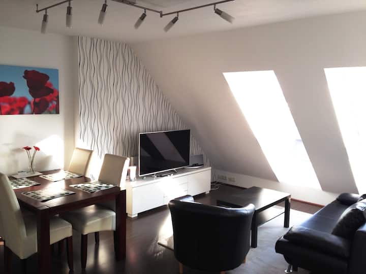 Loft - 3 Sep. Rooms - With Terrace Over Roof Tops! - 杜塞道夫