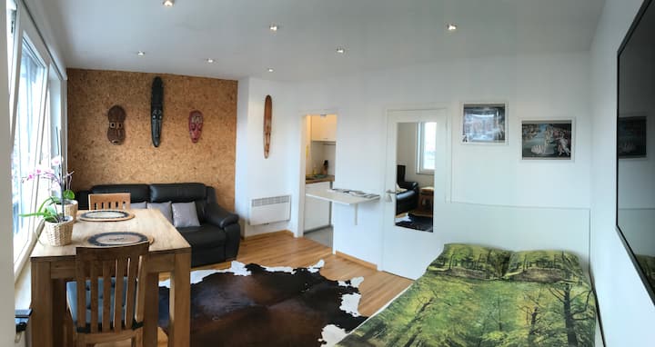 Mini Appartement En Plein Centre De Liège - Luik